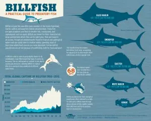 What is a Billfish? An In-Depth Look at These Fascinating Underwater Giants