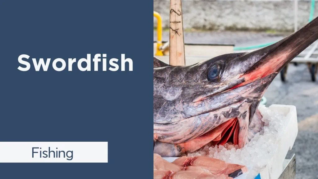 Catch a Glimpse of the Mighty Swordfish in the Open Ocean: The Master ...