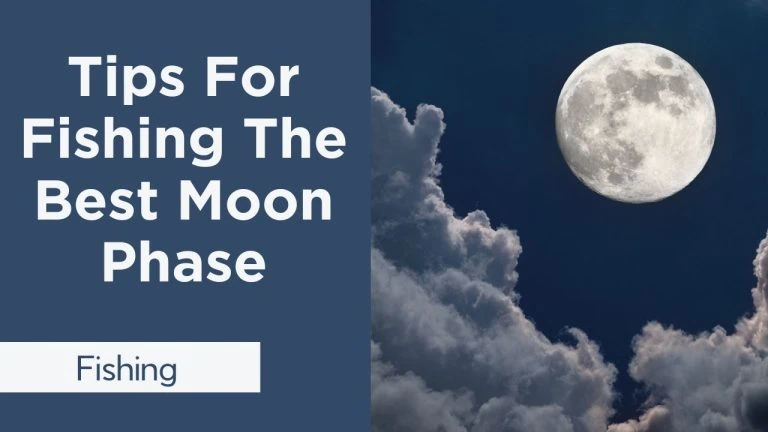 Best moon phase for tuna fishing