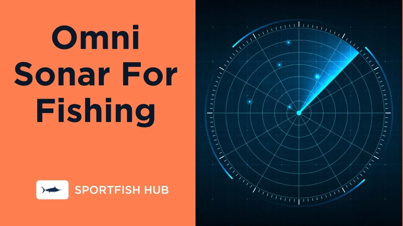 Omni Sonar For Fishing