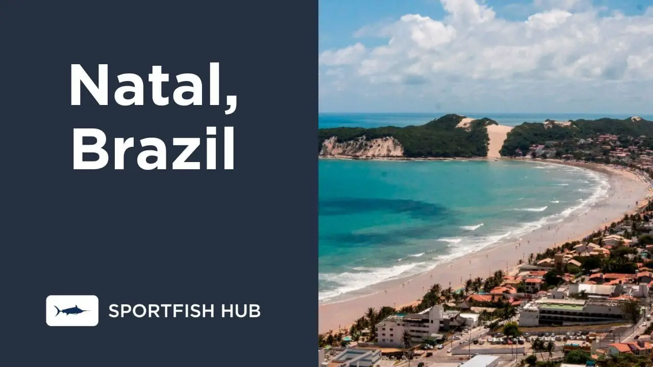 Marlin Fishing In Brazil