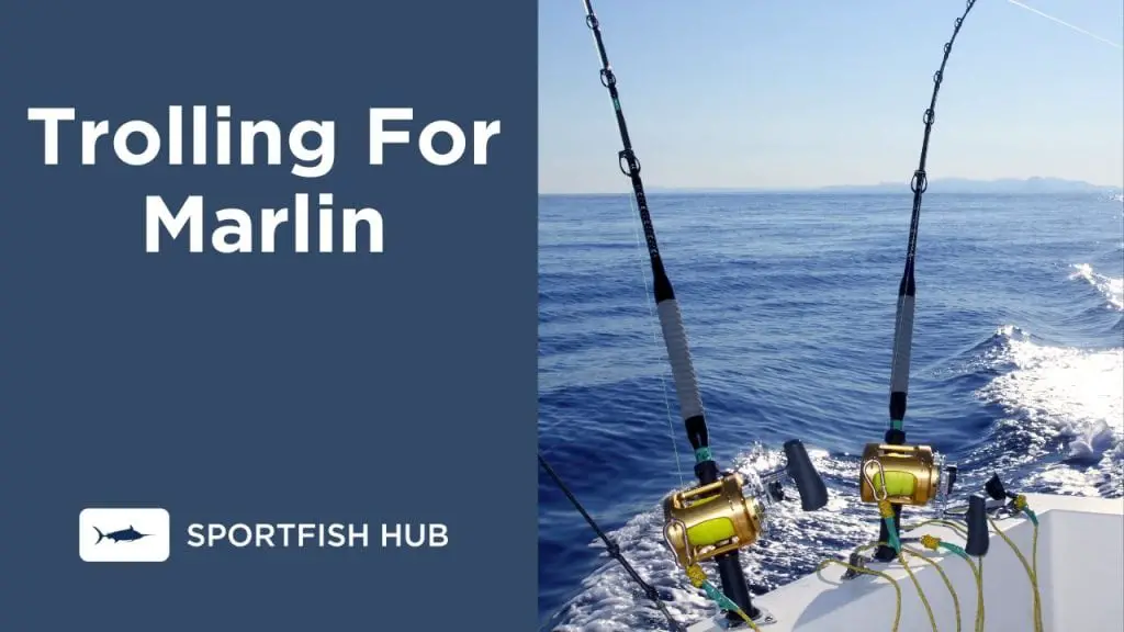 Trolling for Marlin: Strategies for Success on the Open Water