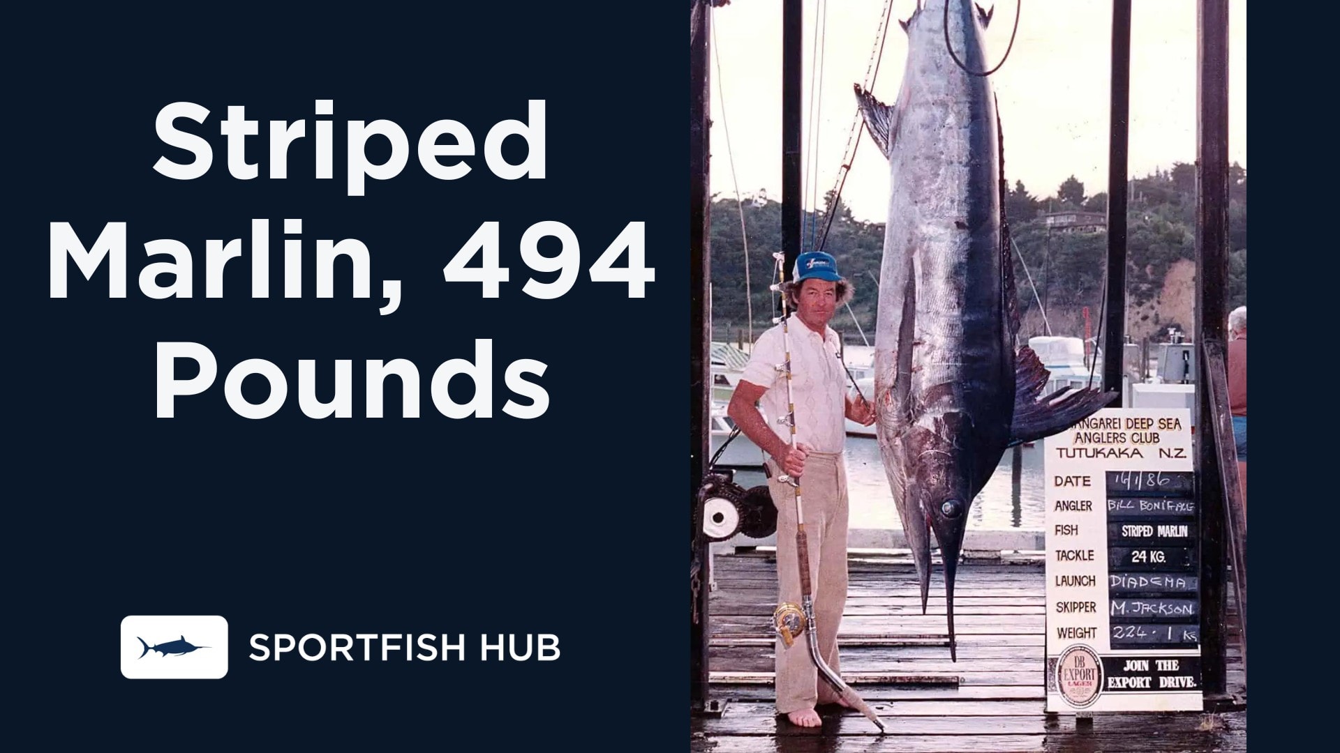 The Largest Marlin Ever Caught