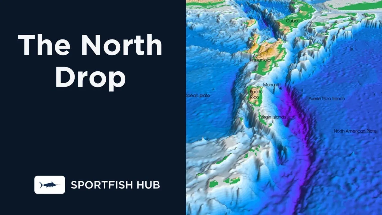 Marlin Fishing in the Virgin Islands