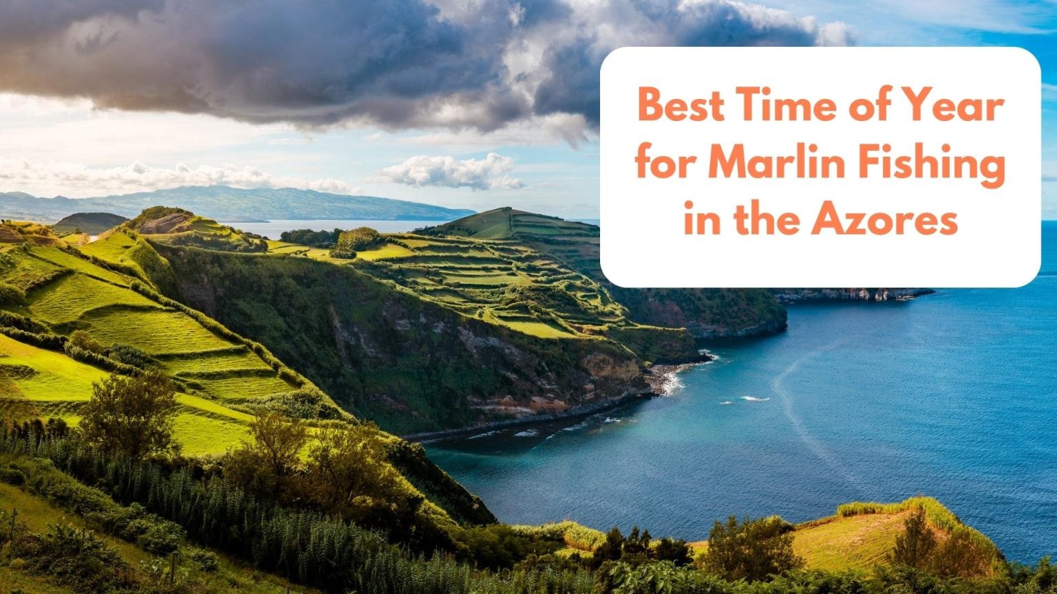 Azores Marlin Fishing: A Premier Destination for Anglers