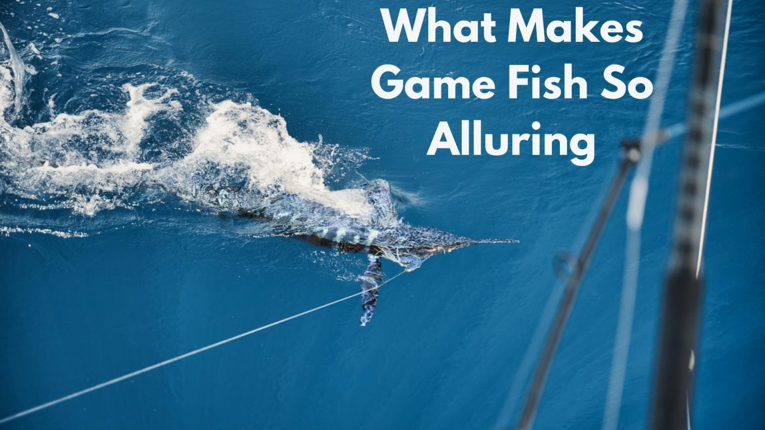 What Is A Game Fish