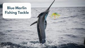 Blue Marlin- A Guide For The Average Person