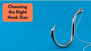 The Complete Guide to Fishing Hook Sizes