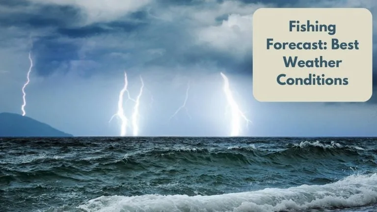 Best Time to Go Fishing: Optimizing for Time of Day & Season