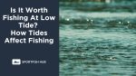 Is It Worth Fishing At Low Tide? How Tides Affect Fishing