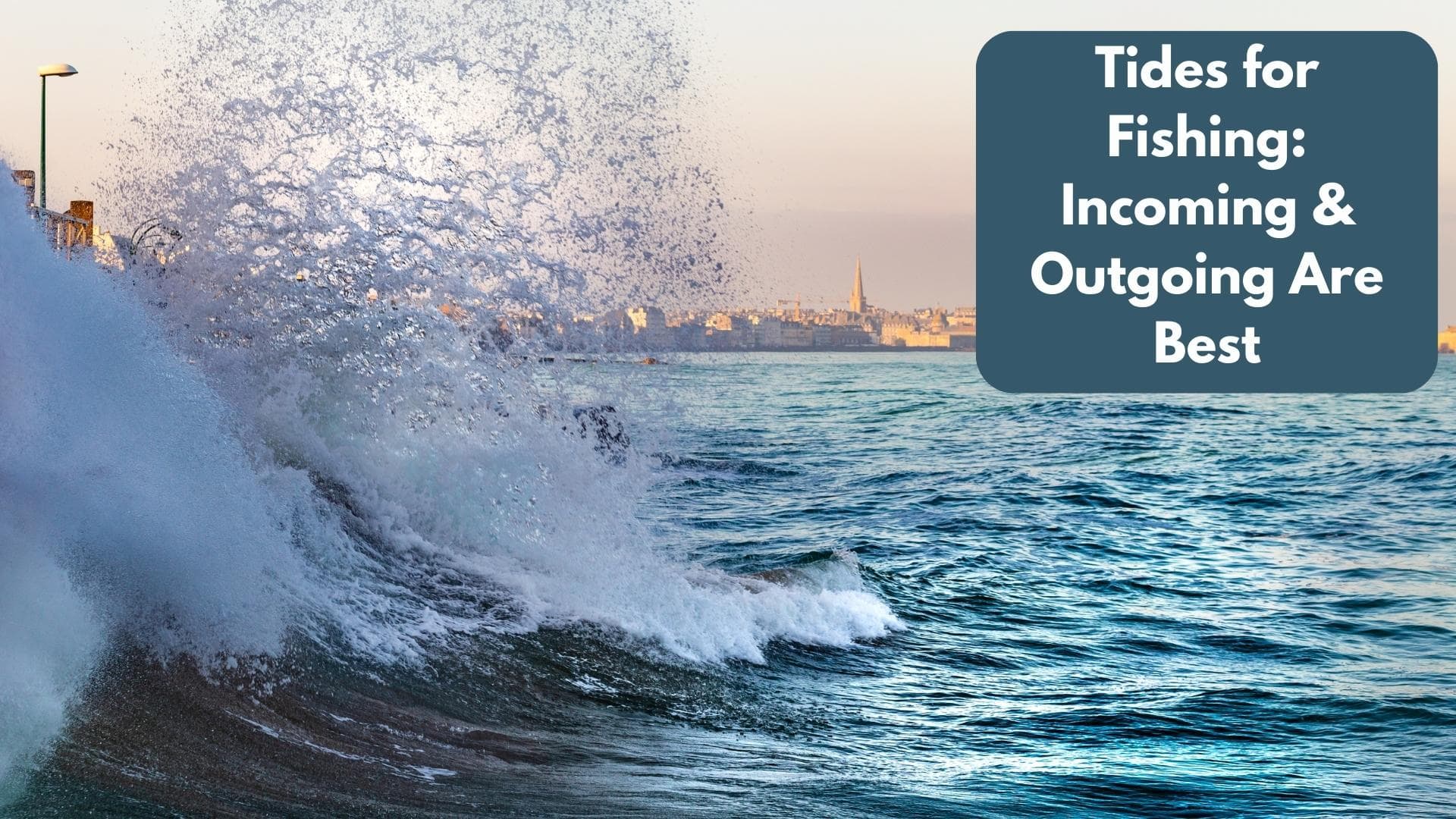 Best Time to Go Fishing: Optimizing for Time of Day & Season