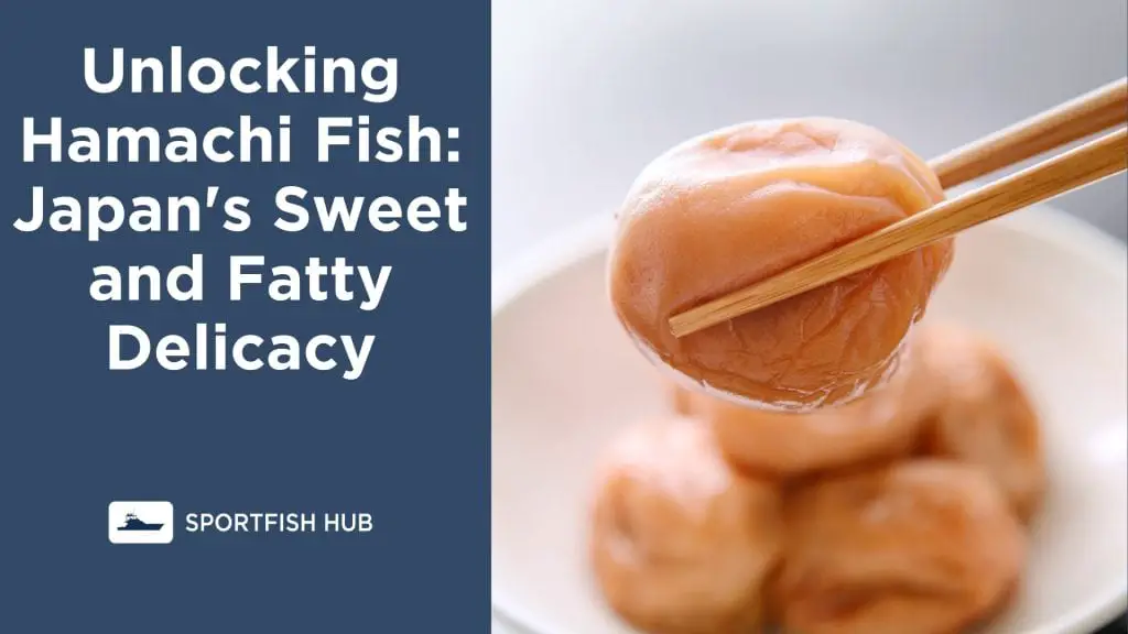 Unlocking Hamachi Fish: Japan's Sweet and Fatty Delicacy