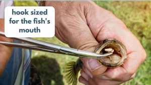 The Complete Guide to Fishing Hook Sizes