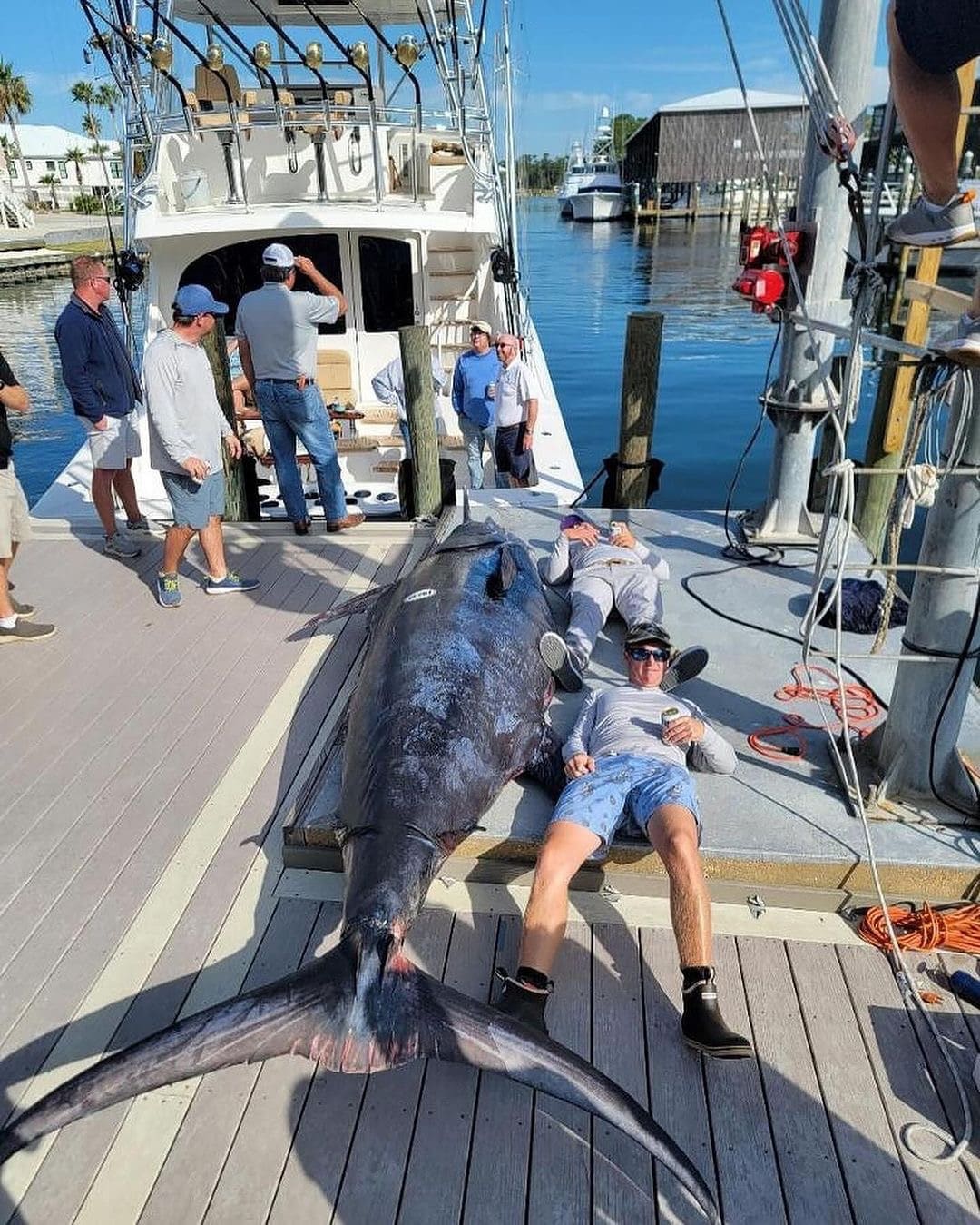 New Alabama State Blue Marlin Record Fish Caught
